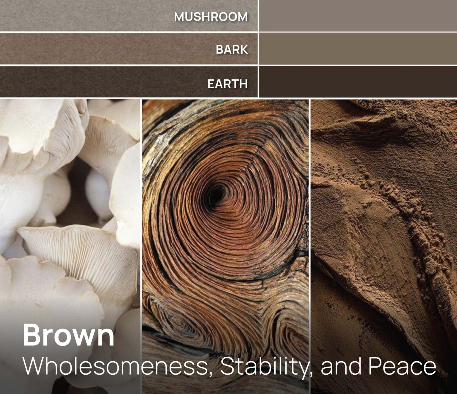 Add Nature-Inspired Elegance with Earth-Toned Cabinets